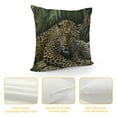Fenyluxe African Animal Safari Leopard Wildlife Pillow Cover,Decorative ...