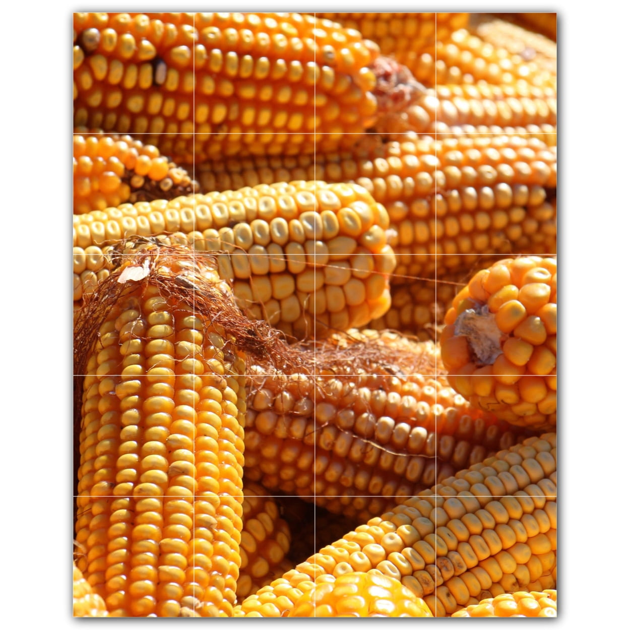 Picture-Tiles.com: Farm Ceramic Tile Wall Mural WAL500577-45XL. 48"W x ...