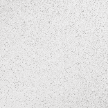 Armstrong Ceiling Tiles; 2x4 Ceiling Tiles - 10 pc White Ceiling Tiles ...