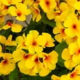 Nearly Natural UV Resistant Outdoor Artificial Geranium Bush - Set of 3 ...
