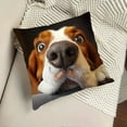 AOMXGD Dog Patterns Pillow Covers 45x45cm Decorative Cushion Case Soft ...