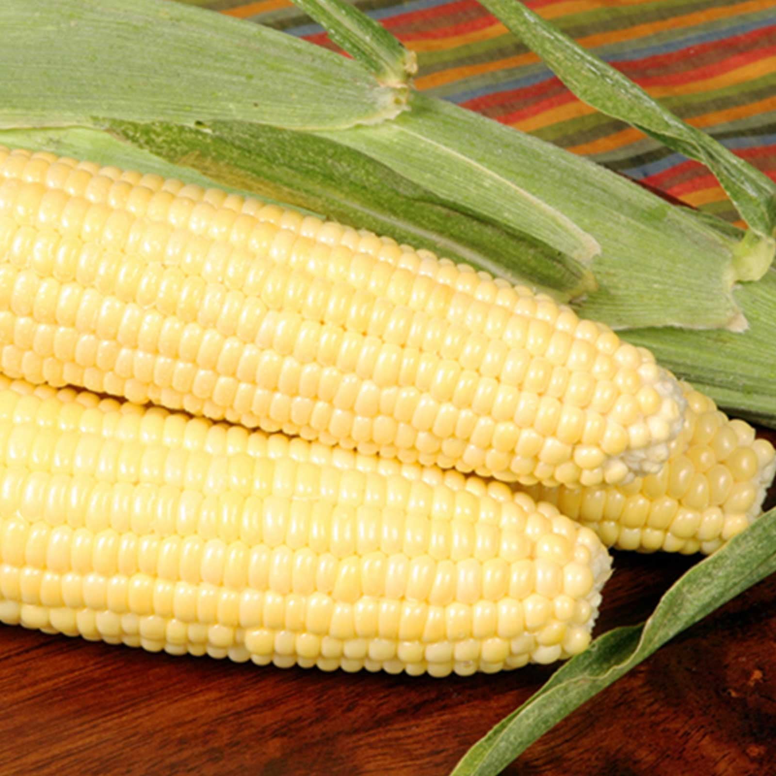 Bodacious RM Hybrid Corn Garden Seeds - 10 g Packet ~50 Seeds - Non-GMO ...