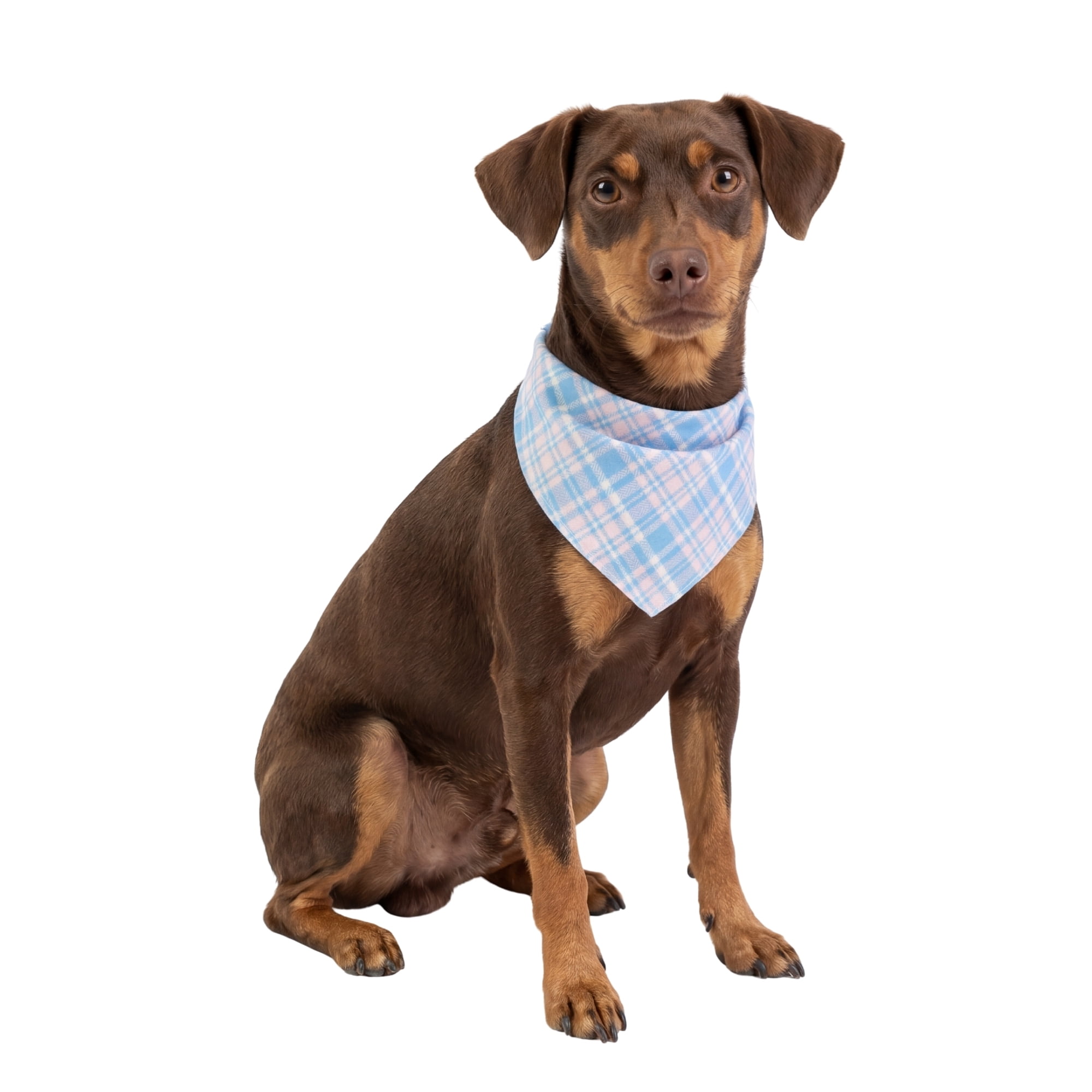 Click here for One Paw  Dog Bandana  Soft Fabric  Multiple Colors... prices