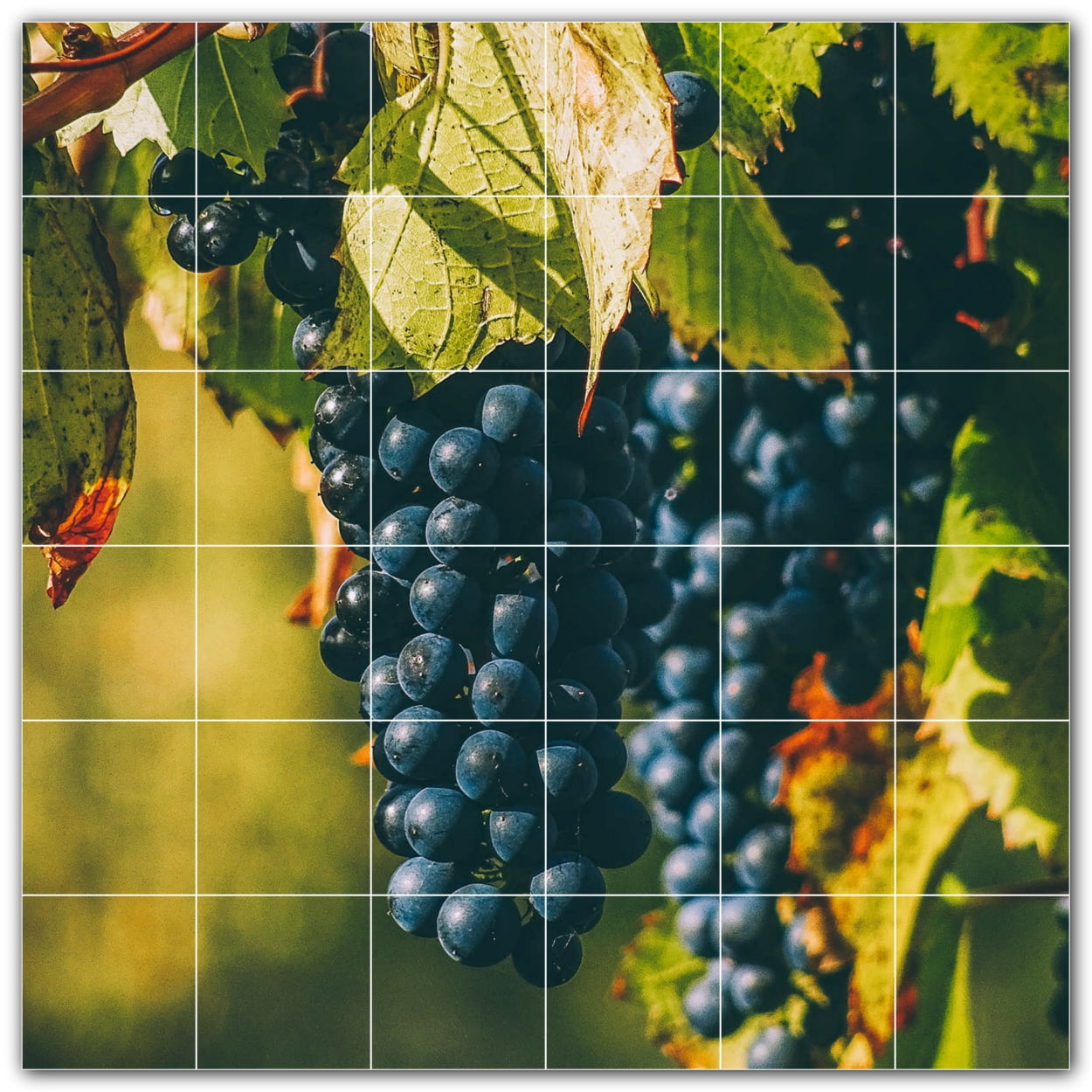 Picture-Tiles.com: Wine Ceramic Tile Wall Mural WAL501208-66XL. 72"W x ...