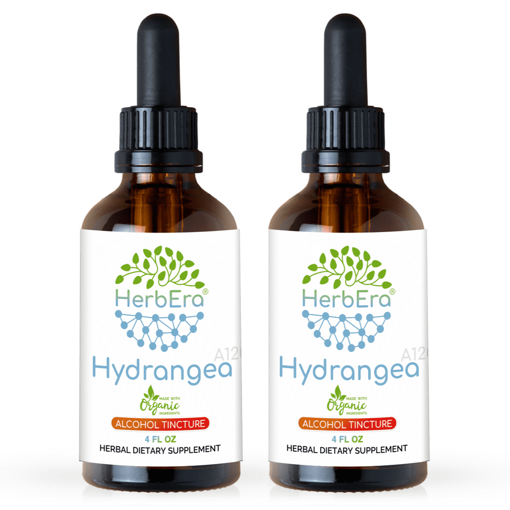 Hydrangea Alcohol Herbal Extract Tincture, Super-Concentrated Organic ...
