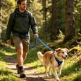 AOOOWER Polyester Two Dog Walking Leashes Bungee With Stretchy Bungee ...