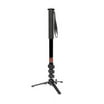 ProMaster Professional MPV428+ Convertible Monopod - Walmart.com