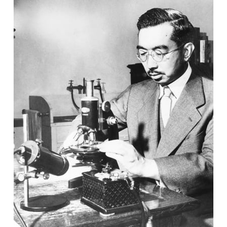 Emperor Hirohito Puts Specimens On A Slide Under The Microscope In His ...