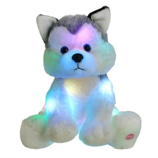 World?s Cutest Dog Boo Plush Rainbow Outfit Stuffed Animal Plush, 9 ...
