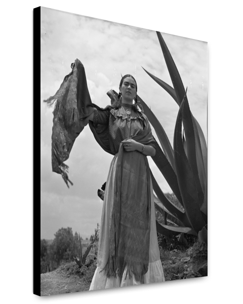 Canvas Print: Frida Kahlo (Senora Diego Rivera) Standing Next To An ...