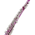 Professional Horizontal Flute With Bag Cloth Stick 16 Hole C Tone ...