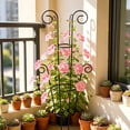 Adjustable Flower Trellis Climbing Rack 76cm Tall Metal Plant Support ...