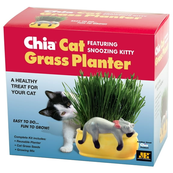 Chia Pet Hello Kitty - Fun Indoor Cat Toy Planter with Chia Seeds ...