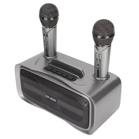 Portable Karaoke Speaker System, Powerful Karaoke Machine Silver Black ...