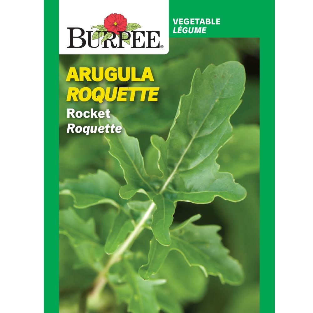Click here for Burpee Canada Burpee Rocket Arugula prices