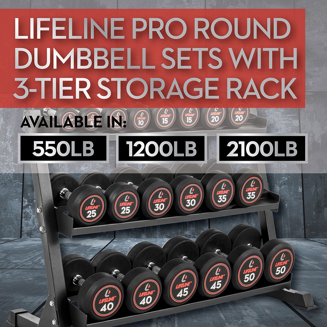 Lifeline 5 Lb 100 Lb 2 100lb Pro Round Dumbbell Set With 3 Tier Rack