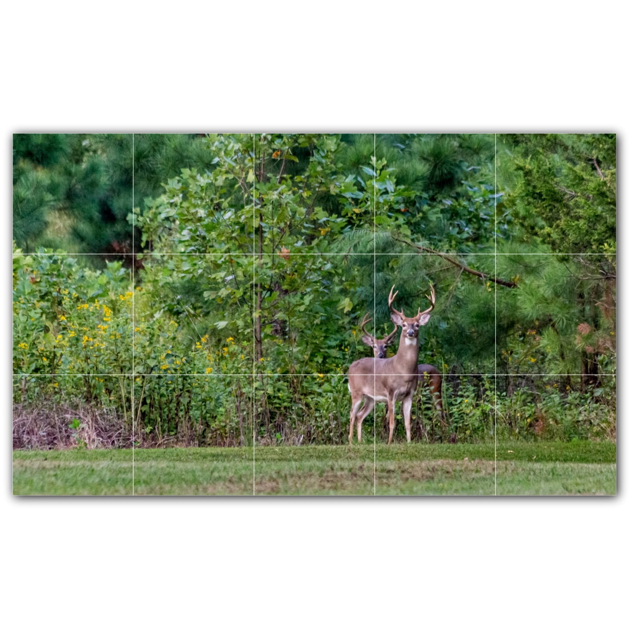 Picture-Tiles.com: Deer Ceramic Tile Wall Mural WAL500458-53XL. 60"W x ...