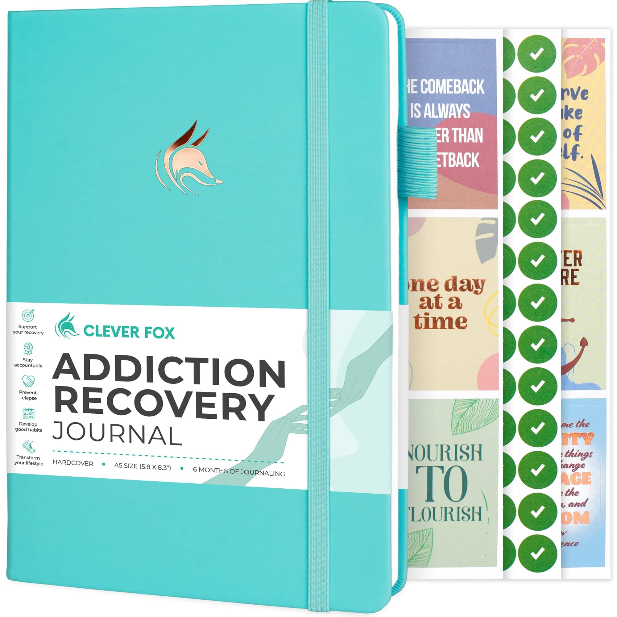 Addiction Recovery Journal - Walmart.com