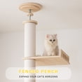Cat Tree for Indoor Cats, 3-Tier Multi-Level Cat Tower with Sisal ...