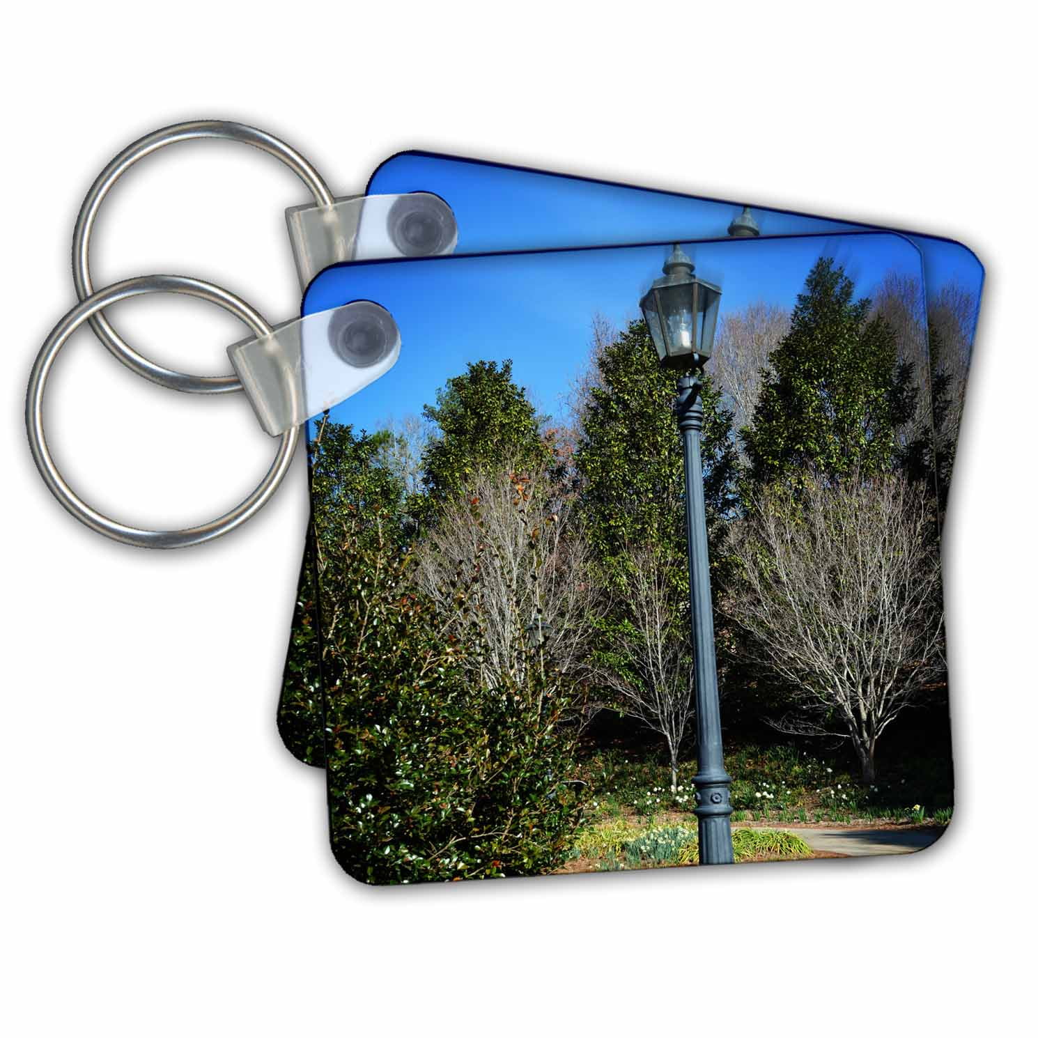 3dRose Follow the Light is a photo of street lamp in the botanical ...