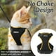 Rabbitgoo Cat Harness and Leash for Walking,Escape Proof Soft ...