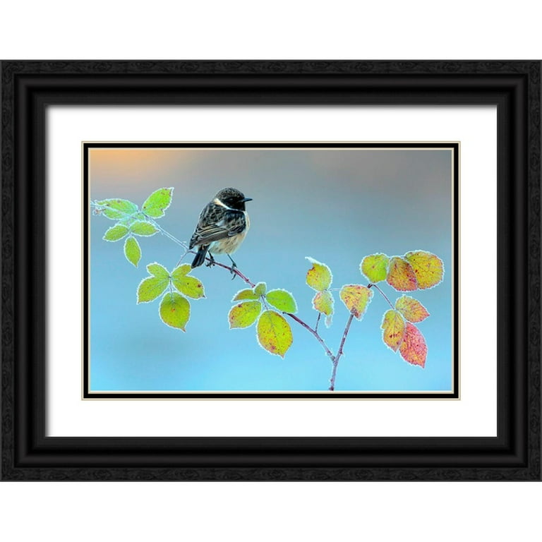 Miguel Dominguez Framed Artwork