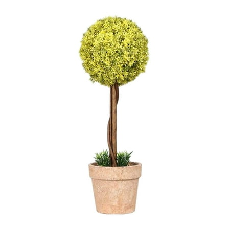 Xingzhi Poplar Evergreen Globe Tree Potted Showcase Of Everlasting ...