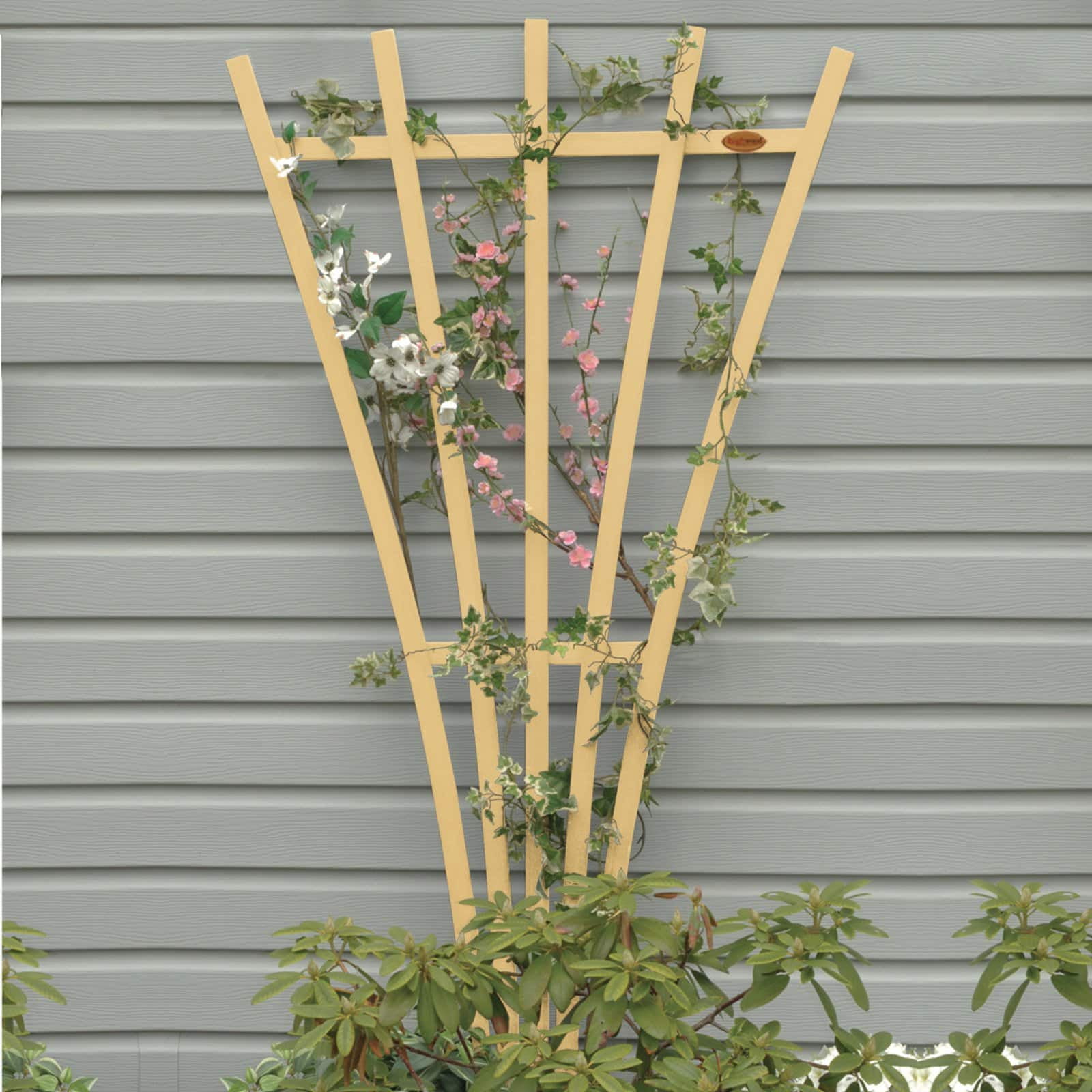 Fan Trellis Vine