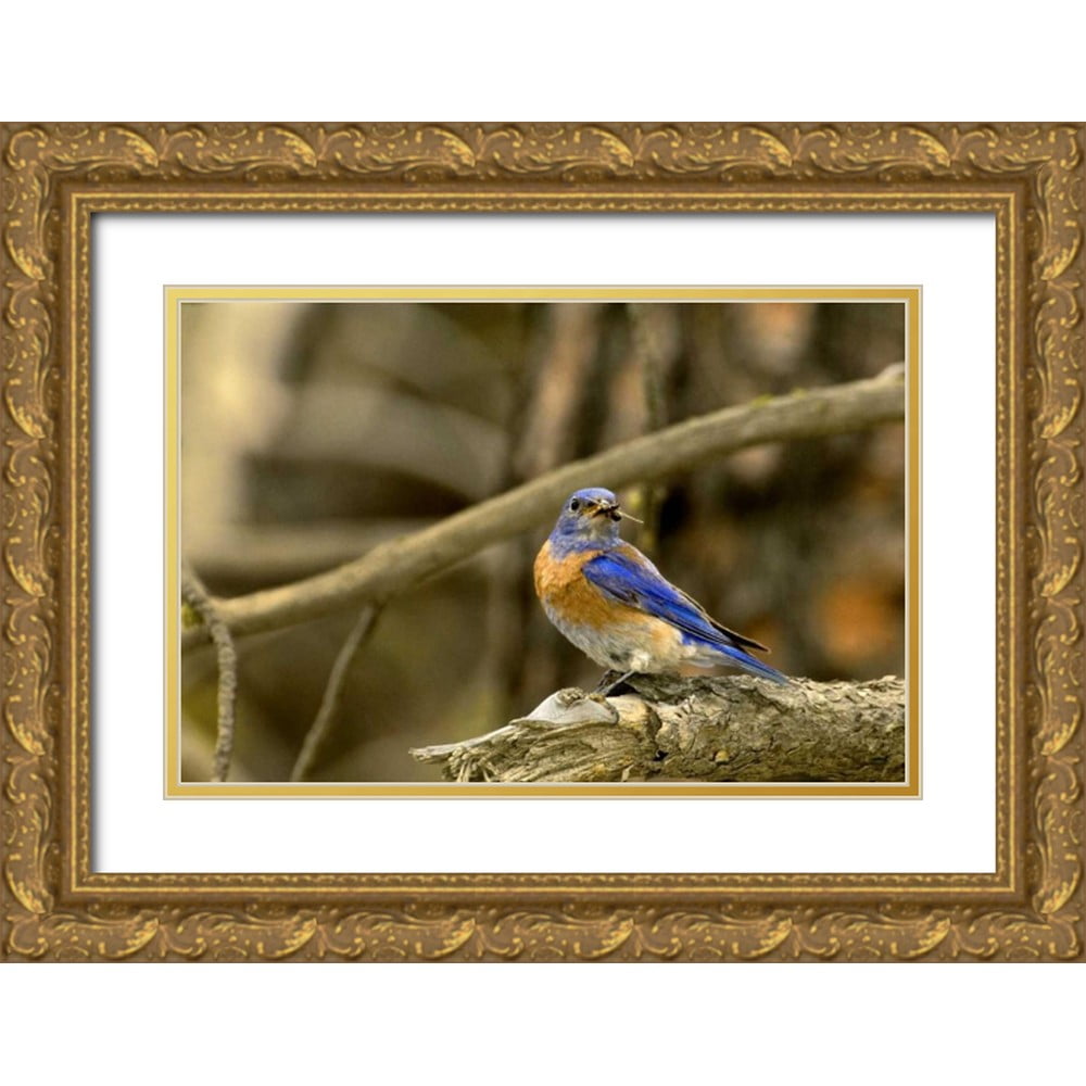 Welling, Dave 14x11 Gold Ornate Wood Framed with Double Matting Museum ...