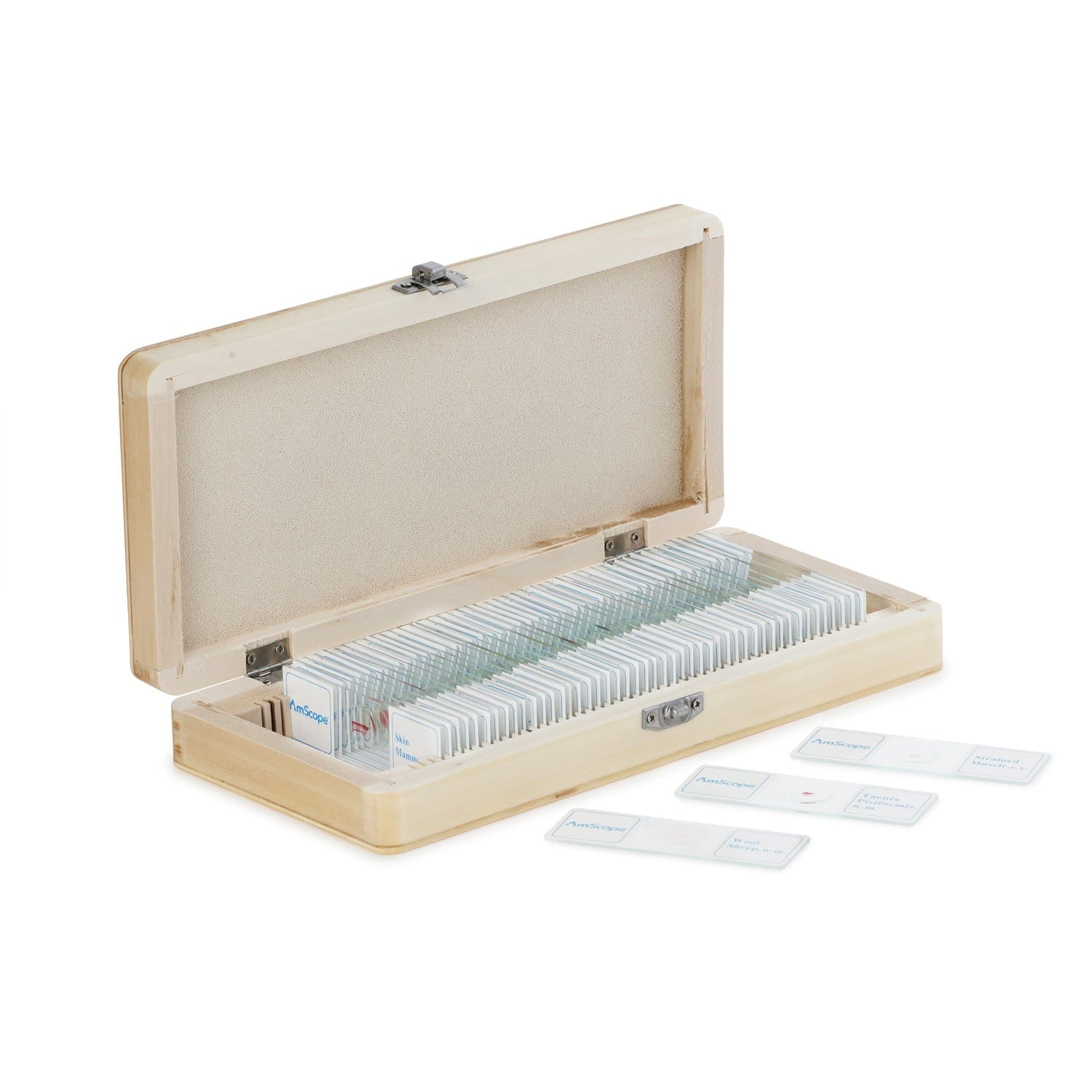 50pc Prepared Glass Microscope Zoology Slide Specimens with Wooden Case - Walmart.com