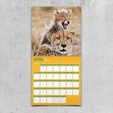 2019 Baby Animals 12" x 12" January 2019-December 2019 Wall Calendar ...