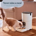 Smart Automatic Cat Feeder - 6-L Reliable Automatic Cat Food Dispenser ...