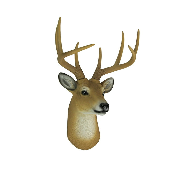 Mounted Buck Head