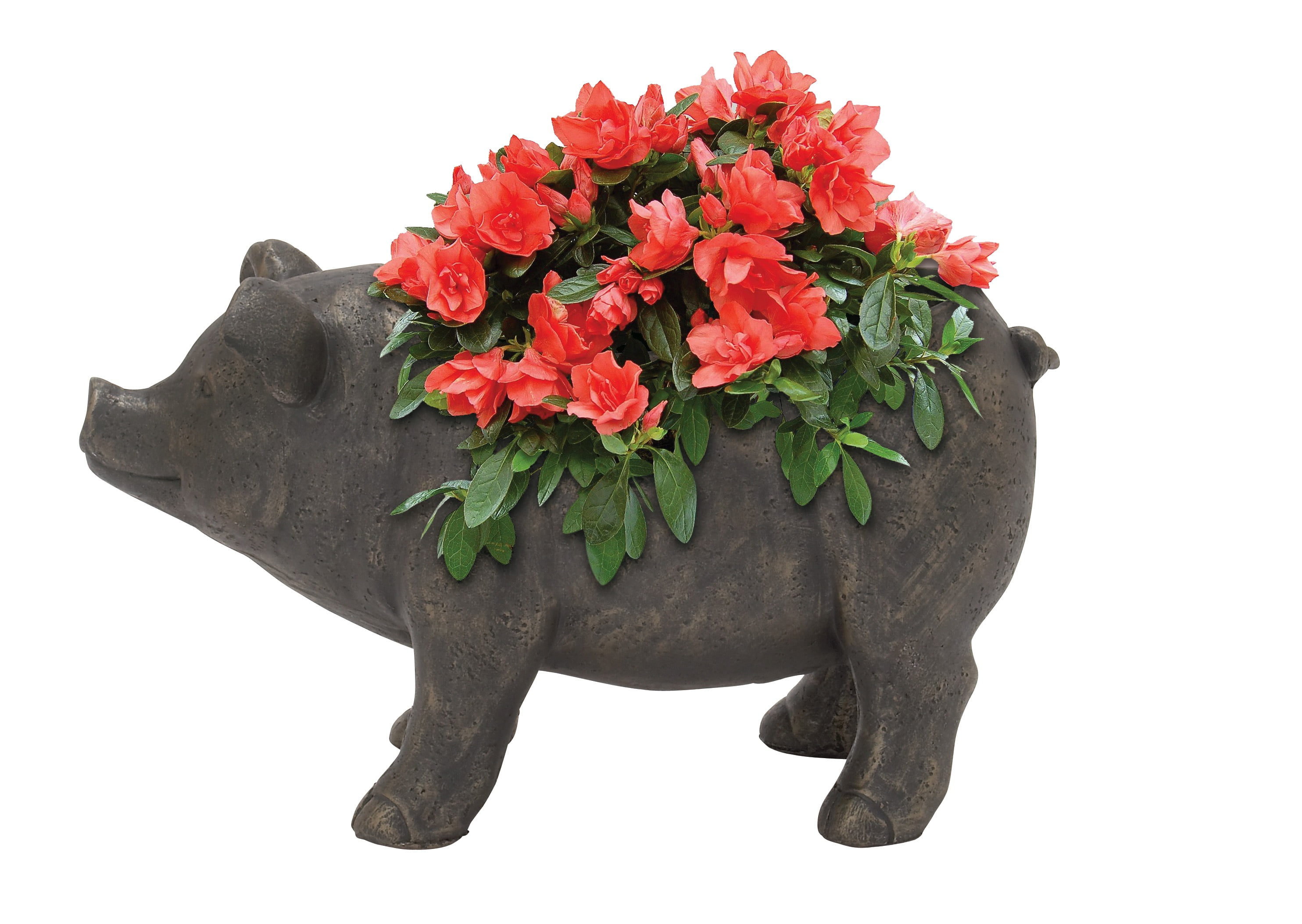 Attractive Polyresin Pig Flower Pot 18"W 10"H - Walmart.com