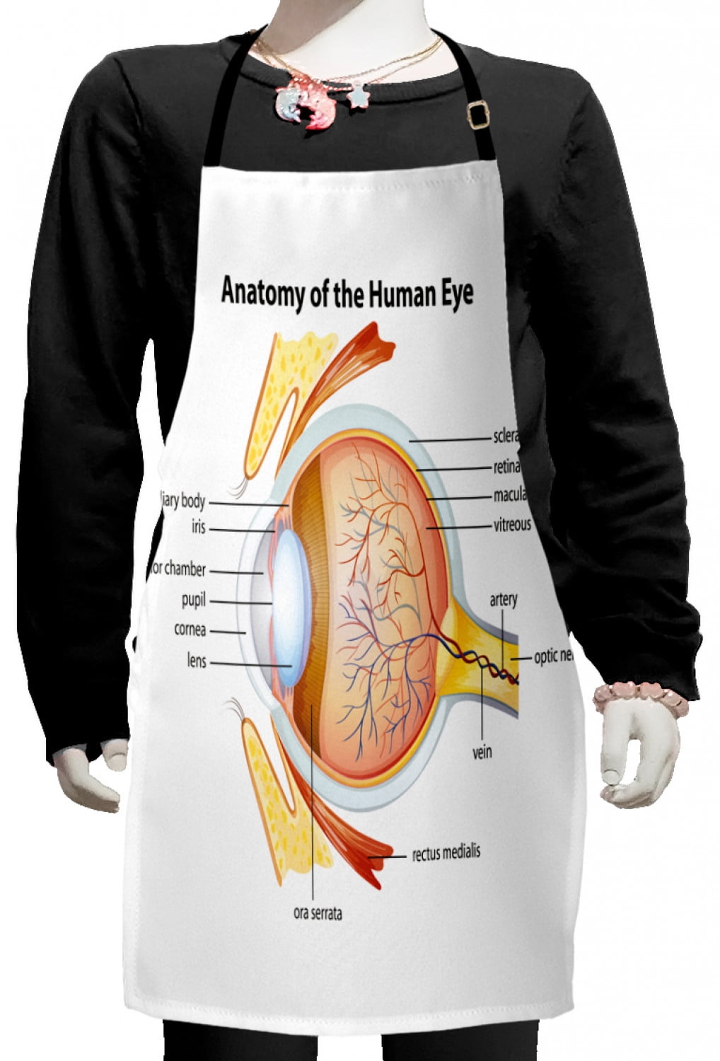 Educational Kids Apron, Human Eye Anatomy Cornea Iris Pupils Optic ...