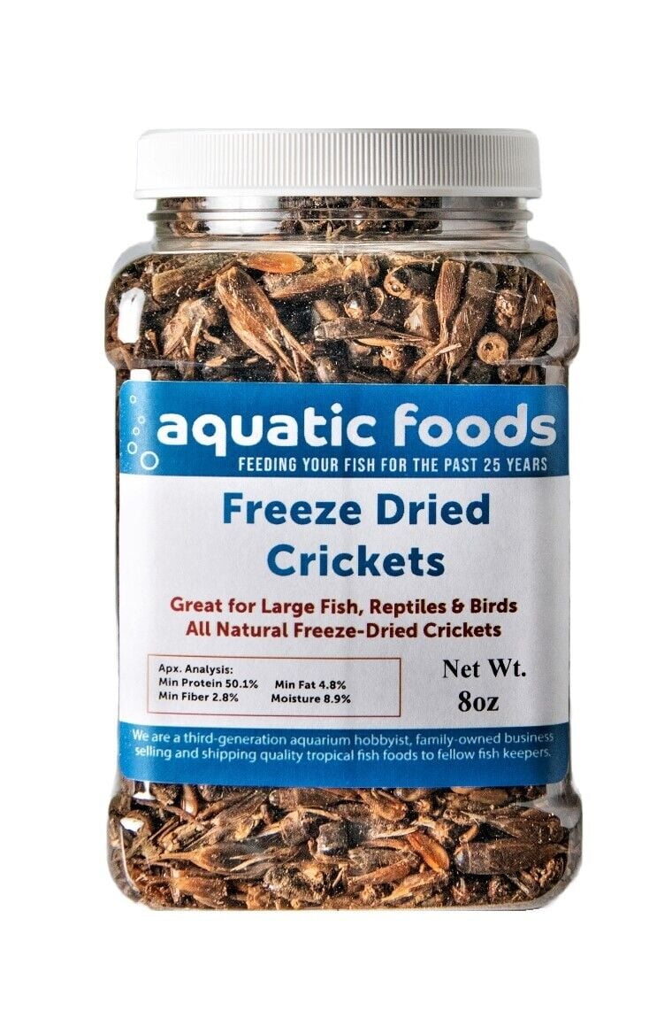Freeze Dried Crickets - Food for Fish, Reptiles, Turtles, Frogs ...