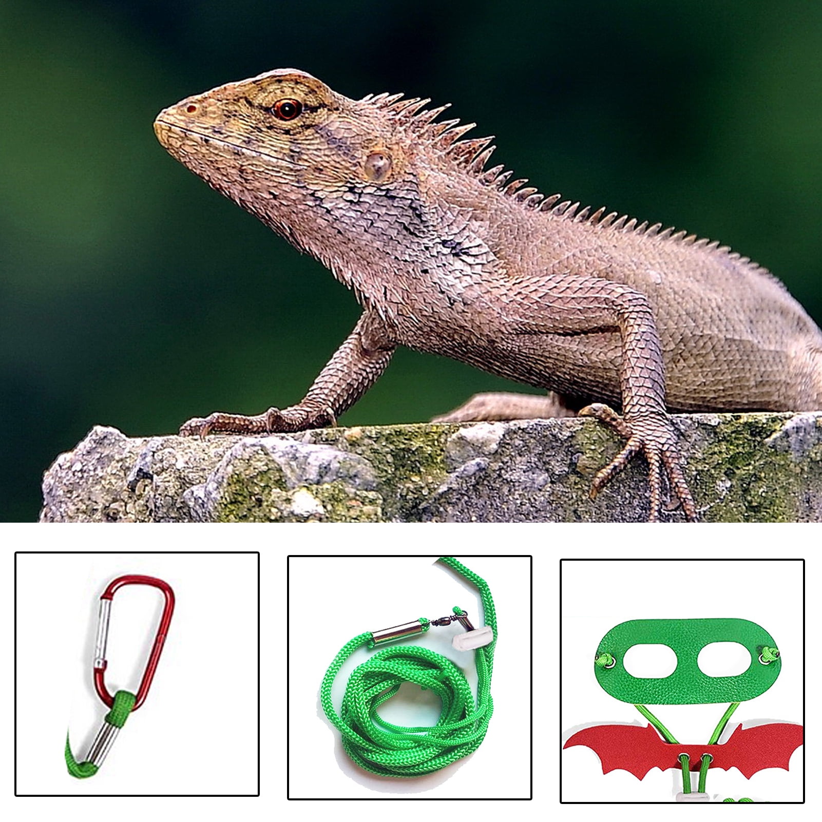 Windfall Adjustable Lizard Leash Bearded Dragon Harness Cool Leather ...