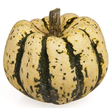 50 Seeds DELICATA SQUASH Striped Sweet Potato Cucurbita Pepo Vegetable ...