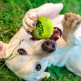 Nerf Dog 3-inch Squeak Tennis Ball Dog Toy, 2 Pack - Walmart.com