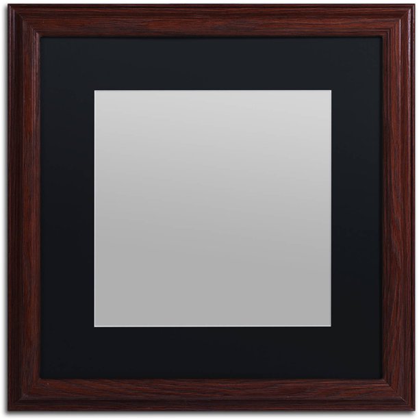 16x16 Frame