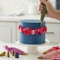 Wilton Cake Decorating Set W/Piping Tips 17/Pkg-Navy Blue And Gold ...