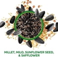 Vibrant Life Songbird Select Wild Bird Seed, 5 lb. Bag - Walmart ...