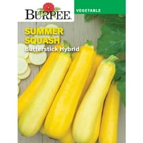 Burpee Pechay Pak Choi Chinese Cabbage Vegetable Seed, 1-Pack - Walmart.com