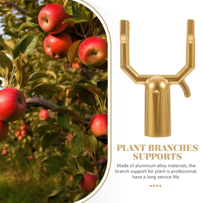 Support Fruit Tree Orchard