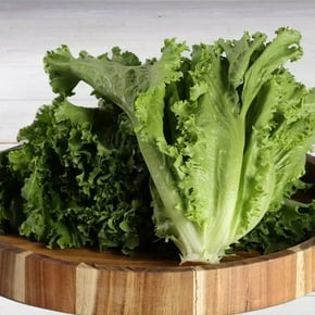 Compra lechuga a los mejores precios | Walmart México
