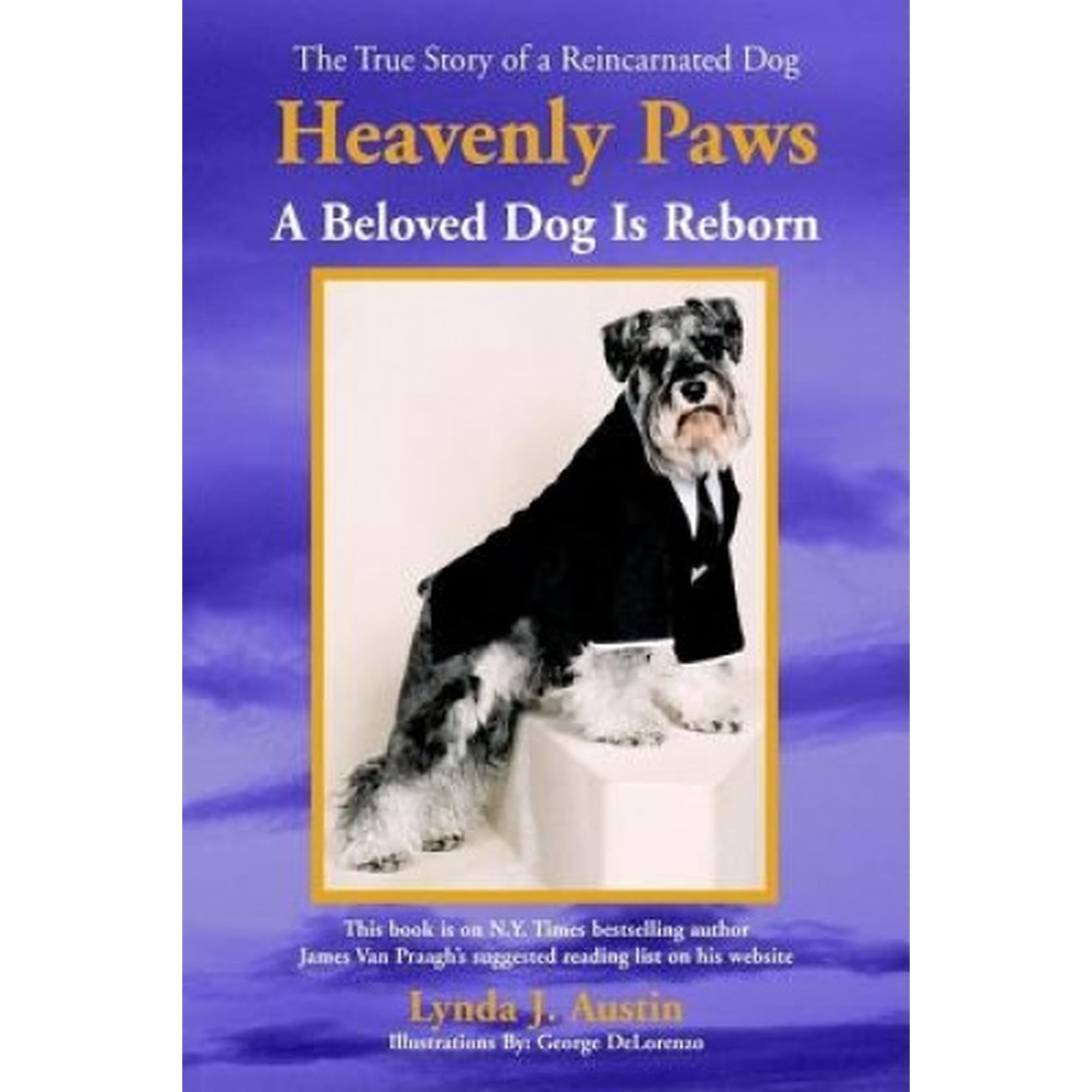 Can A Dog Be Reincarnated