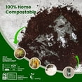 FMP Brands 240 Count 100% Compostable Dog Poop Bags Rolls for Large and ...