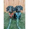 One Hot Pupperoni Dog Reversible Harness - Extra Small - Walmart.com