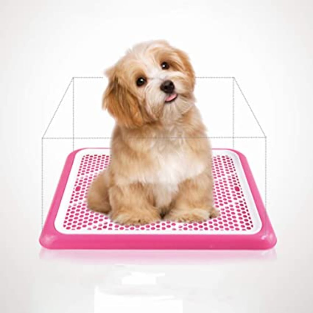 SUTENG Pet Pee Tray Pet Urine Tray Dog Toilet Tray Dog Potty Tray Puppy ...
