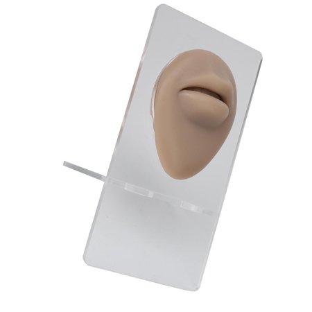 3D Lip Model, Reusable Silicone Lip Model High Simulation Lips Practice ...